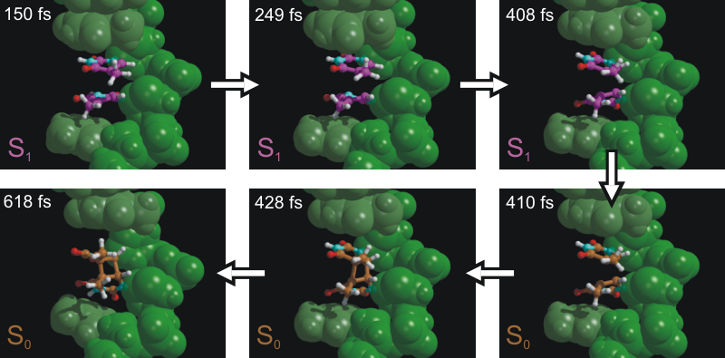 Computational biophysics - QMMM